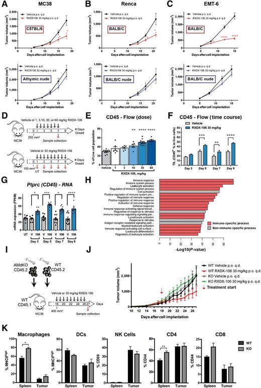 Immuno-oncological Efficacy of RXDX-106, a Novel TAM (TYRO3, AXL, MER ...