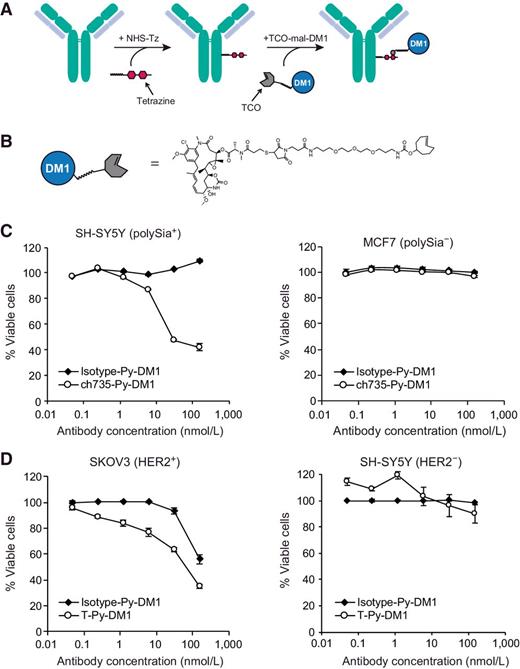 Antibody-Mediated Endocytosis of Polysialic Acid Enables Intracellular ...