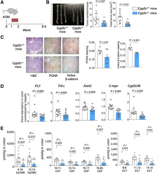 Targeted Metabolomics Identifies the Cytochrome P450 Monooxygenase ...