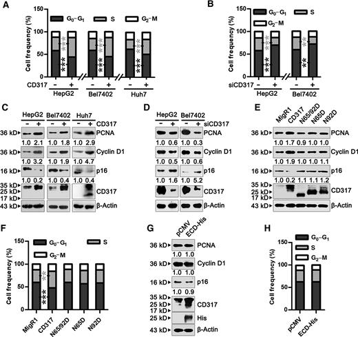 CD317 Activates EGFR by Regulating Its Association with Lipid Rafts ...