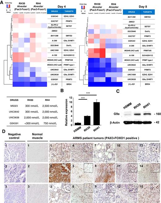 Epigenetic Regulation of the PTEN–AKT–RAC1 Axis by G9a Is Critical for ...