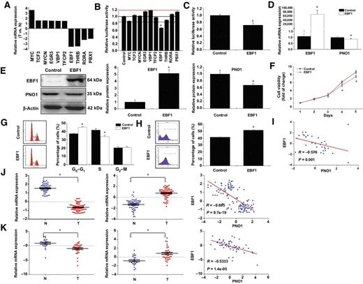 EBF1-Mediated Upregulation of Ribosome Assembly Factor PNO1 Contributes ...
