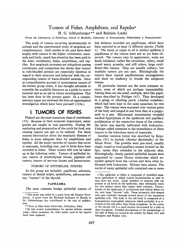 Tumors of Fishes, Amphibians, and Reptiles* | Cancer Research ...