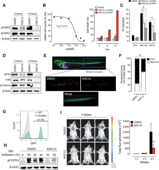 FGF Trapping Inhibits Multiple Myeloma Growth through c-Myc Degradation ...