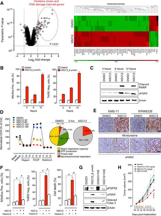 FGF Trapping Inhibits Multiple Myeloma Growth through c-Myc Degradation ...