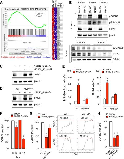 FGF Trapping Inhibits Multiple Myeloma Growth through c-Myc Degradation ...