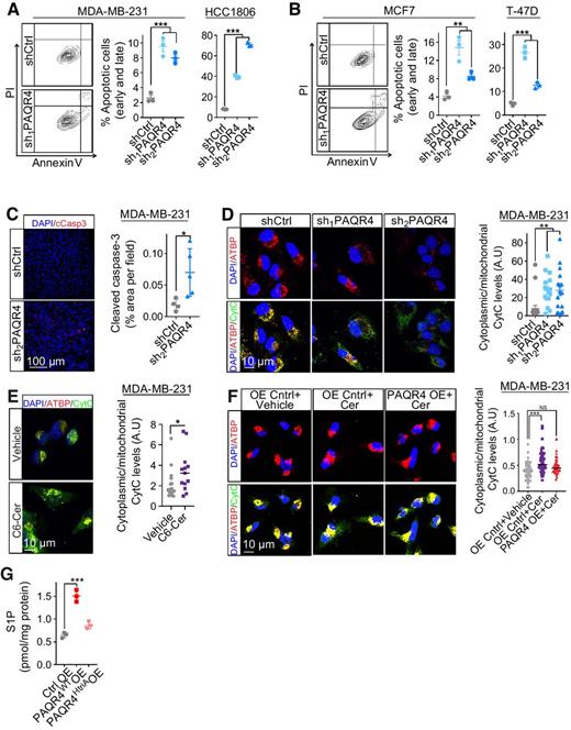 Golgi-Localized PAQR4 Mediates Antiapoptotic Ceramidase Activity in ...