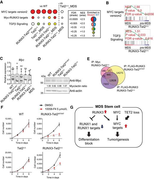 Overexpression of RUNX3 Represses RUNX1 to Drive Transformation of Myelodysplastic Syndrome ...