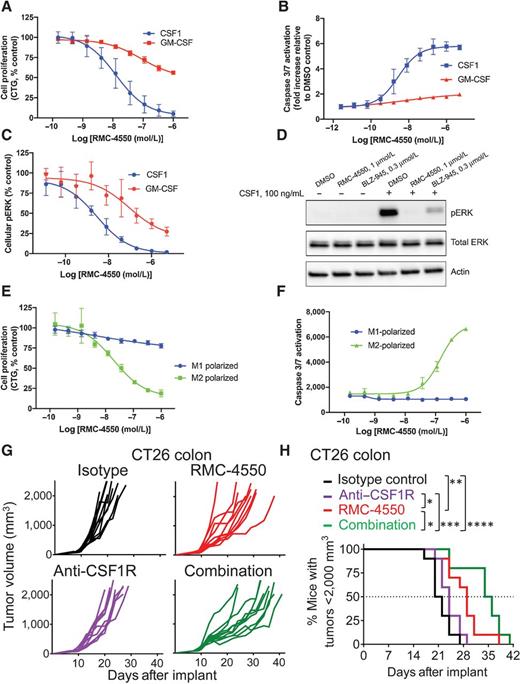 Allosteric Inhibition of SHP2 Stimulates Antitumor Immunity by ...