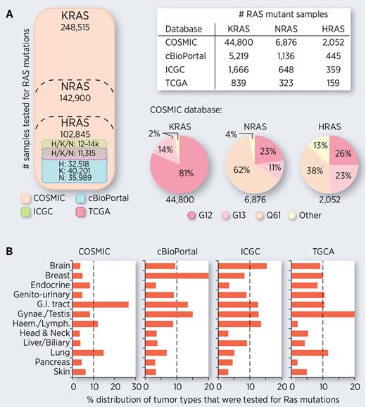 The Frequency of Ras Mutations in Cancer | Cancer Research | American ...