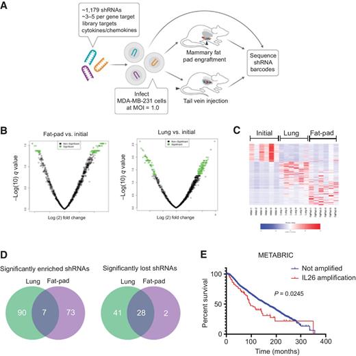 IL26, a Noncanonical Mediator of DNA Inflammatory Stimulation, Promotes ...