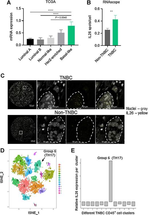 IL26, a Noncanonical Mediator of DNA Inflammatory Stimulation, Promotes ...