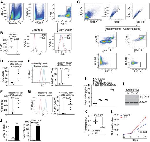Autocrine IL6-Mediated Activation of the STAT3–DNMT Axis Silences the ...