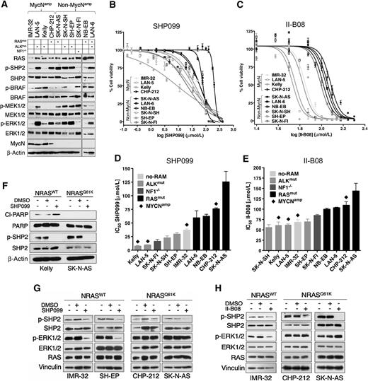 NRAS Status Determines Sensitivity to SHP2 Inhibitor Combination ...