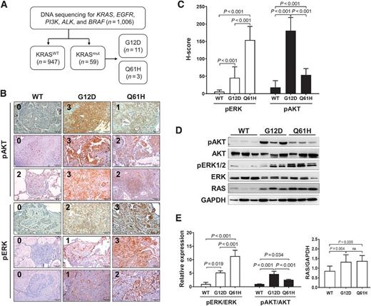 KRASQ61H Preferentially Signals through MAPK in a RAF Dimer-Dependent ...