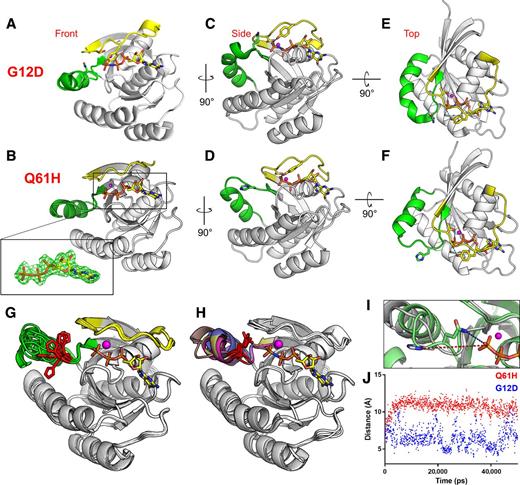 KRASQ61H Preferentially Signals through MAPK in a RAF Dimer-Dependent ...