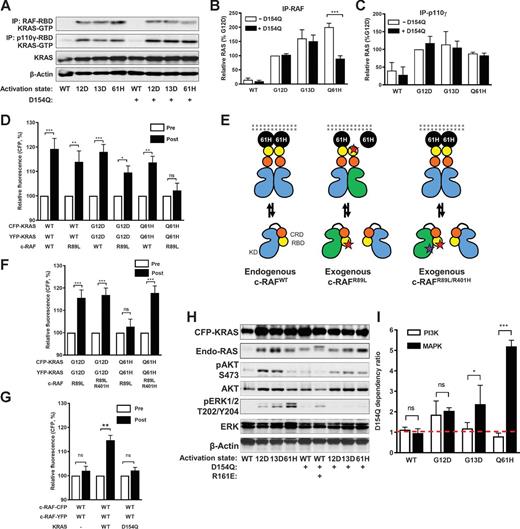 KRASQ61H Preferentially Signals through MAPK in a RAF Dimer-Dependent ...