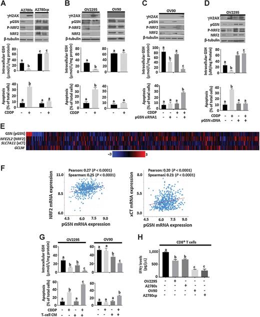 Plasma Gelsolin Inhibits CD8+ T-cell Function and Regulates Glutathione ...