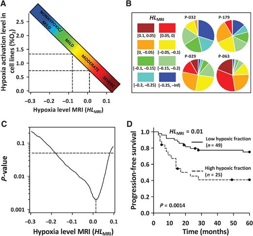 MRI Distinguishes Tumor Hypoxia Levels of Different Prognostic and ...