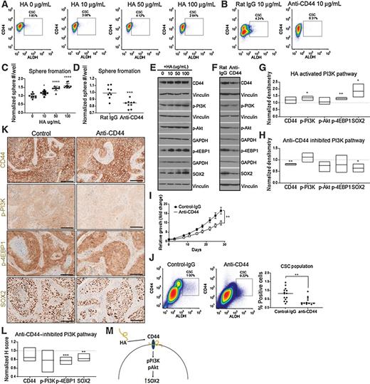 Cancer Cell CD44 Mediates Macrophage/Monocyte-Driven Regulation of Head ...