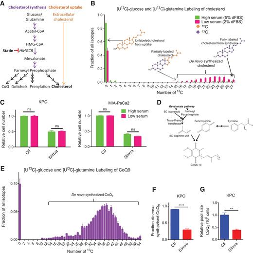 Targeting the Metabolic Response to Statin-Mediated Oxidative Stress Produces a Synergistic ...