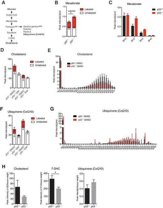 Mevalonate Pathway Provides Ubiquinone to Maintain Pyrimidine Synthesis ...