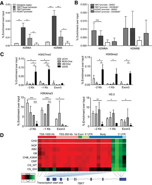 Inhibition of Histone H3K27 Demethylases Inactivates Brachyury (TBXT ...