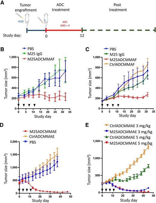 ALPPL2 Is a Highly Specific and Targetable Tumor Cell Surface Antigen ...
