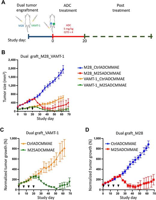ALPPL2 Is a Highly Specific and Targetable Tumor Cell Surface Antigen ...