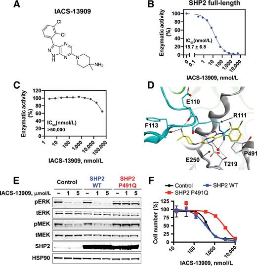 Allosteric SHP2 Inhibitor, IACS-13909, Overcomes EGFR-Dependent and ...