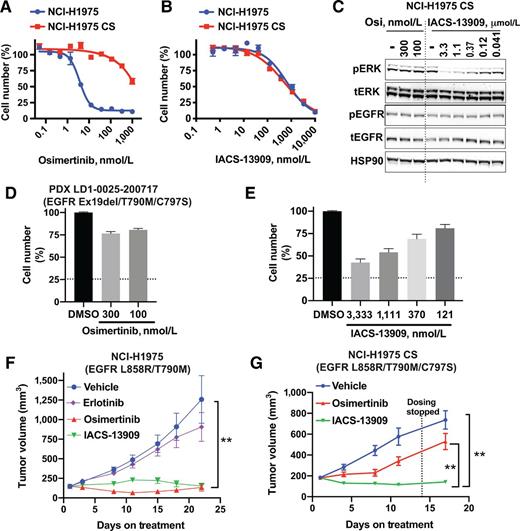 Allosteric SHP2 Inhibitor, IACS-13909, Overcomes EGFR-Dependent and ...