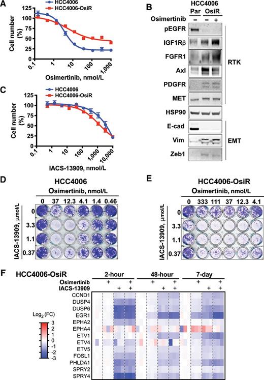 Allosteric SHP2 Inhibitor, IACS-13909, Overcomes EGFR-Dependent and ...