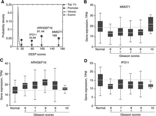 A Deep Learning Framework Identifies Pathogenic Noncoding Somatic Mutations From Personal 