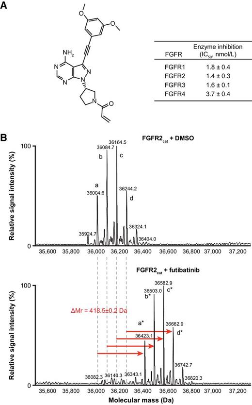 Futibatinib Is a Novel Irreversible FGFR 1–4 Inhibitor That Shows ...