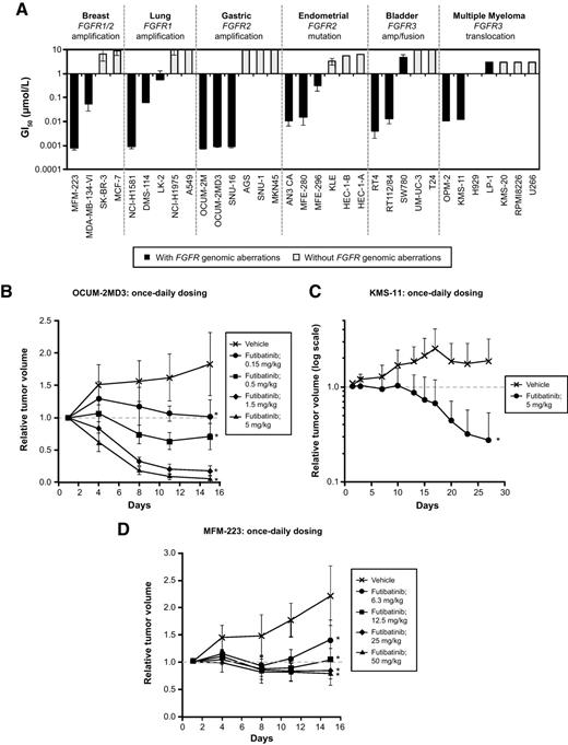 Futibatinib Is a Novel Irreversible FGFR 1–4 Inhibitor That Shows ...