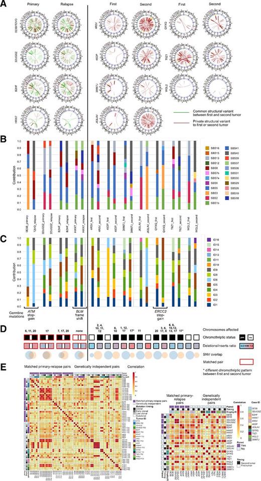Chromothripsis in Human Breast Cancer | Cancer Research | American ...