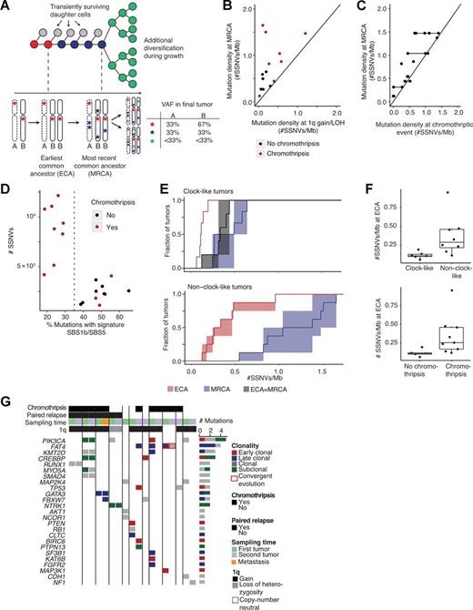 Chromothripsis in Human Breast Cancer | Cancer Research | American ...