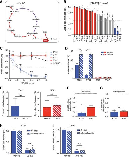 Brain Tumor Stem Cell Dependence on Glutaminase Reveals a Metabolic ...