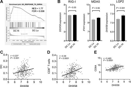 RIG-I–Like Receptor LGP2 Is Required for Tumor Control by Radiotherapy ...