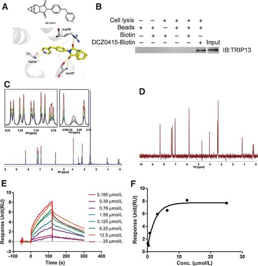 A Small-Molecule Inhibitor Targeting TRIP13 Suppresses Multiple Myeloma ...