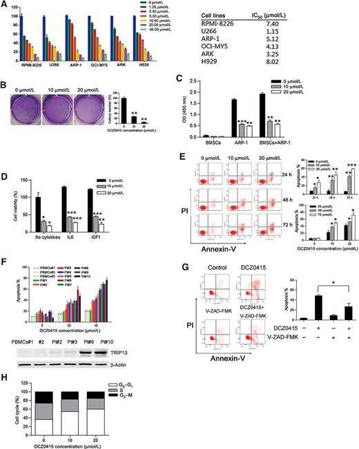 A Small-Molecule Inhibitor Targeting TRIP13 Suppresses Multiple Myeloma ...