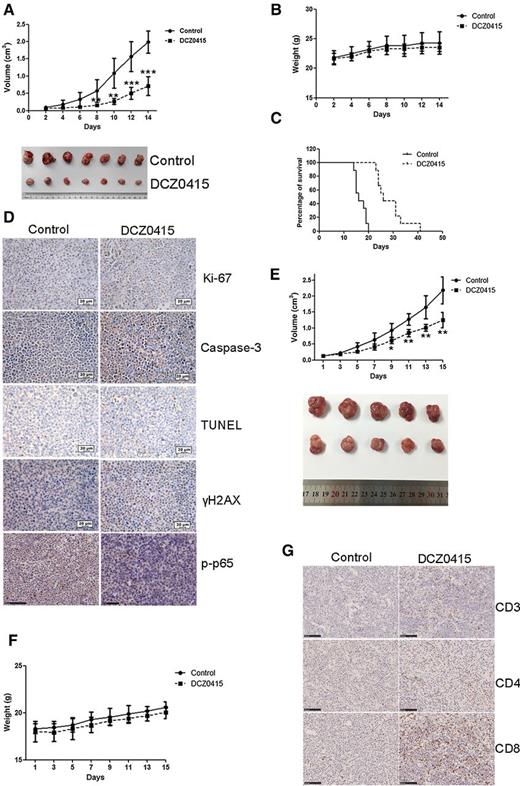 A Small-Molecule Inhibitor Targeting TRIP13 Suppresses Multiple Myeloma ...
