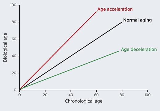 Epigenetic Aging: More Than Just a Clock When It Comes to Cancer ...