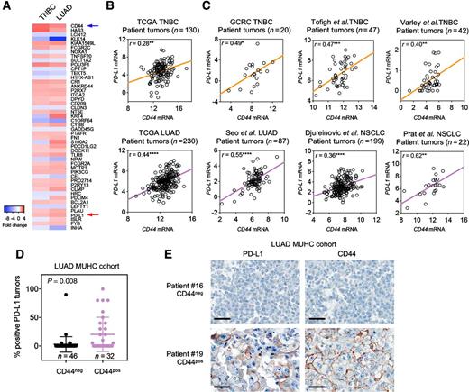 CD44 Promotes PD-L1 Expression and Its Tumor-Intrinsic Function in ...