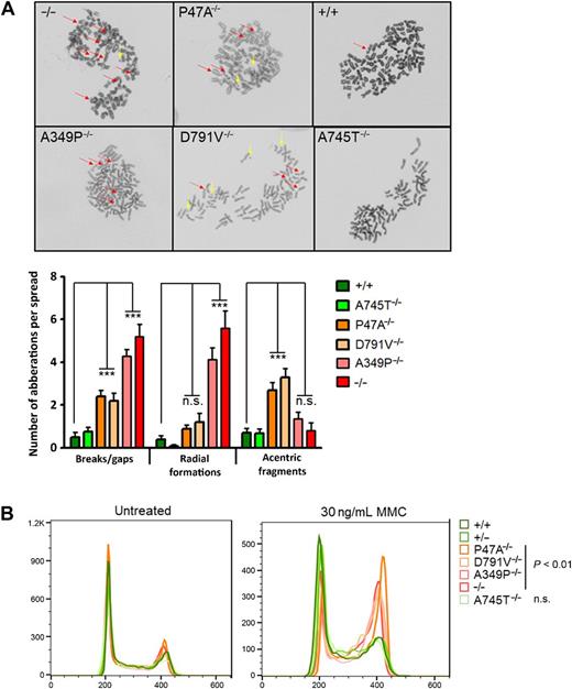 Rare BRIP1 Missense Alleles Confer Risk for Ovarian and Breast Cancer ...