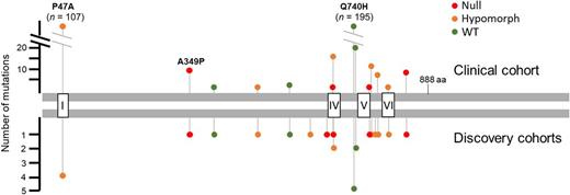 Rare BRIP1 Missense Alleles Confer Risk for Ovarian and Breast Cancer ...