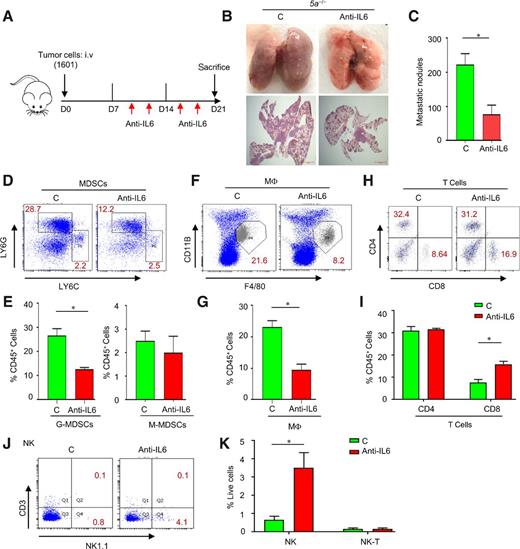 IL6/STAT3 Signaling Orchestrates Premetastatic Niche Formation and ...