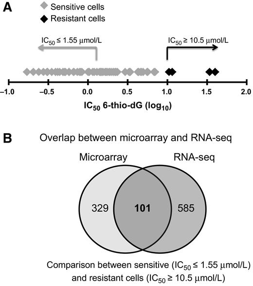 SLC43A3 Is a Biomarker of Sensitivity to the Telomeric DNA Damage ...