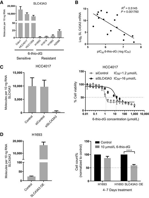 SLC43A3 Is a Biomarker of Sensitivity to the Telomeric DNA Damage ...