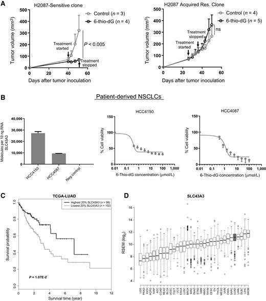 SLC43A3 Is a Biomarker of Sensitivity to the Telomeric DNA Damage ...